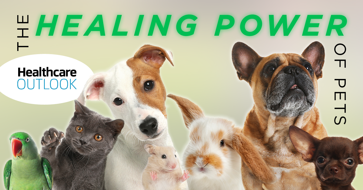 Animal Therapy : The Healing Power of Pets | Healthcare Outlook